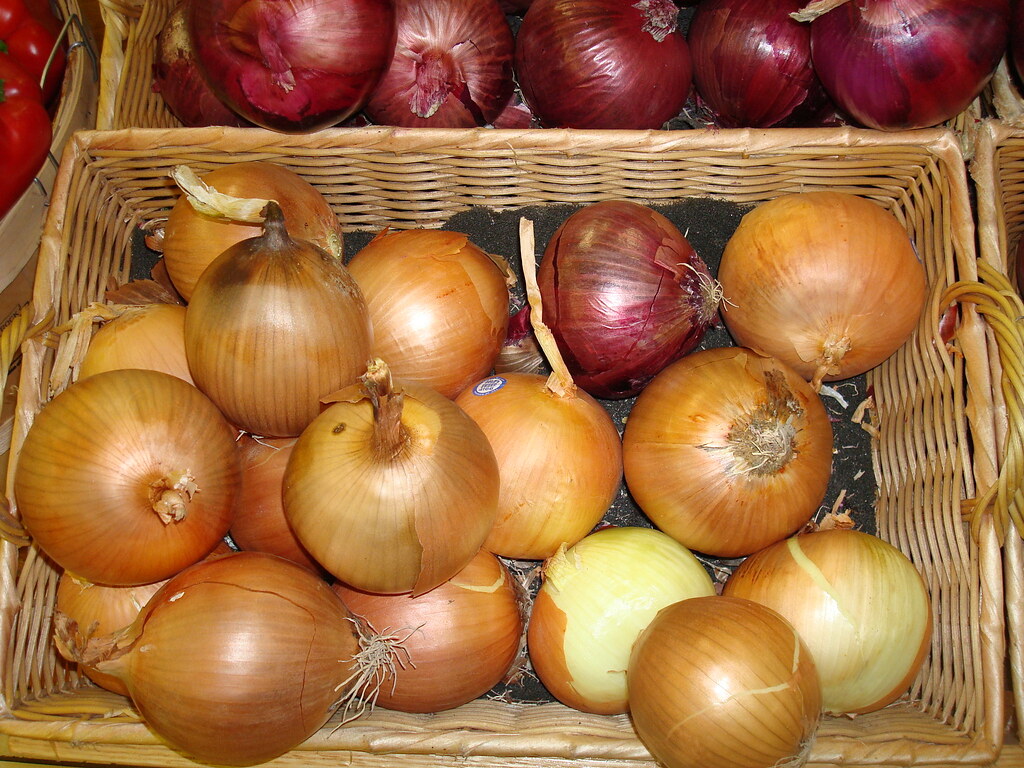 Importers wanted in India for Jumbo Onions - Red & Yellow - from USA ...