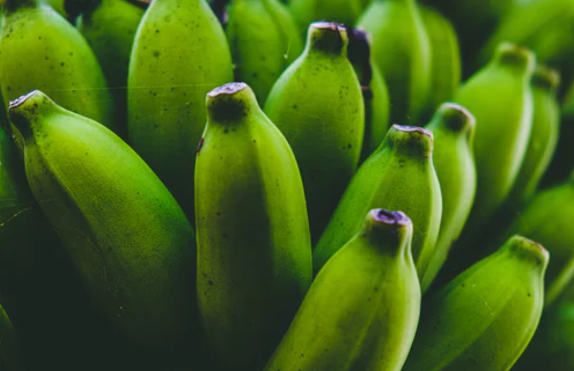 Looking for importers of fresh green cavendish banana from India ...